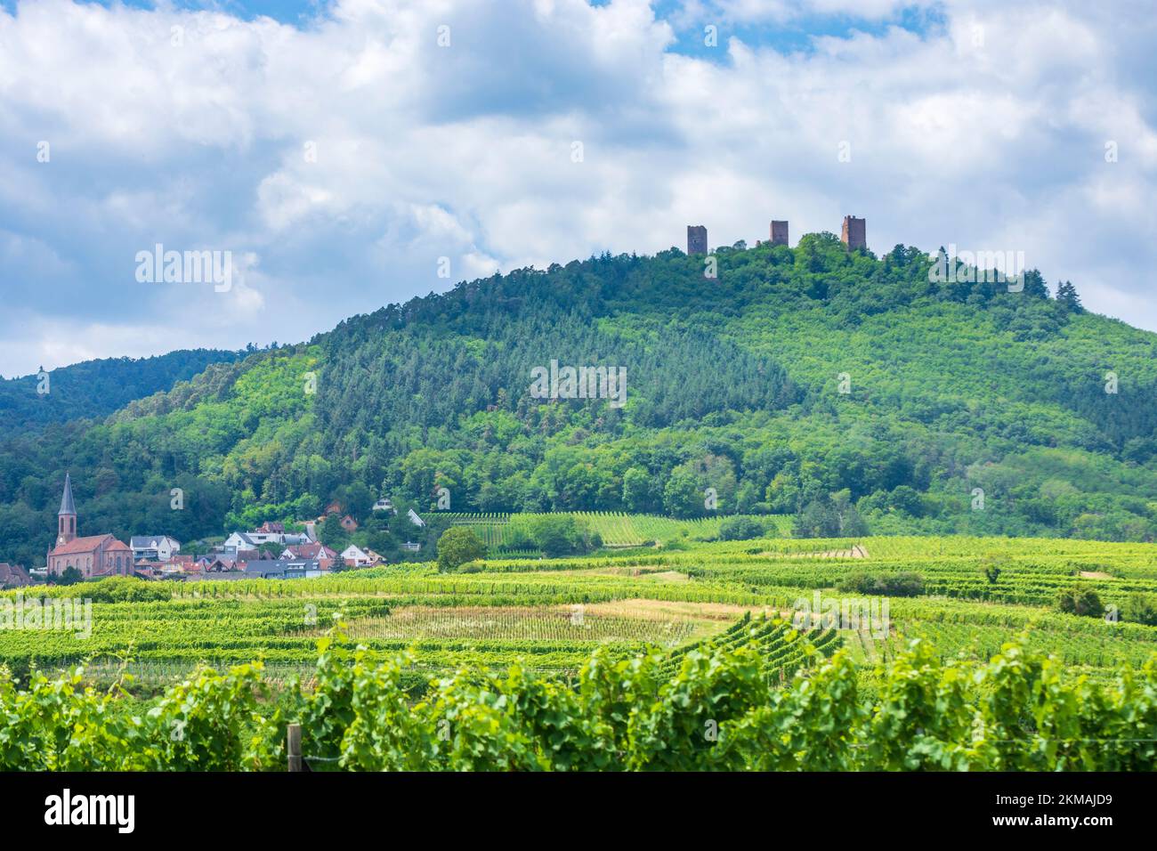 Husseren-les-Chateaux (Häusern): village, vineyards, three castles of ...