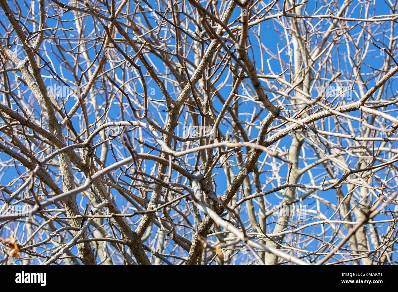 Against all weathers hi-res stock photography and images - Alamy