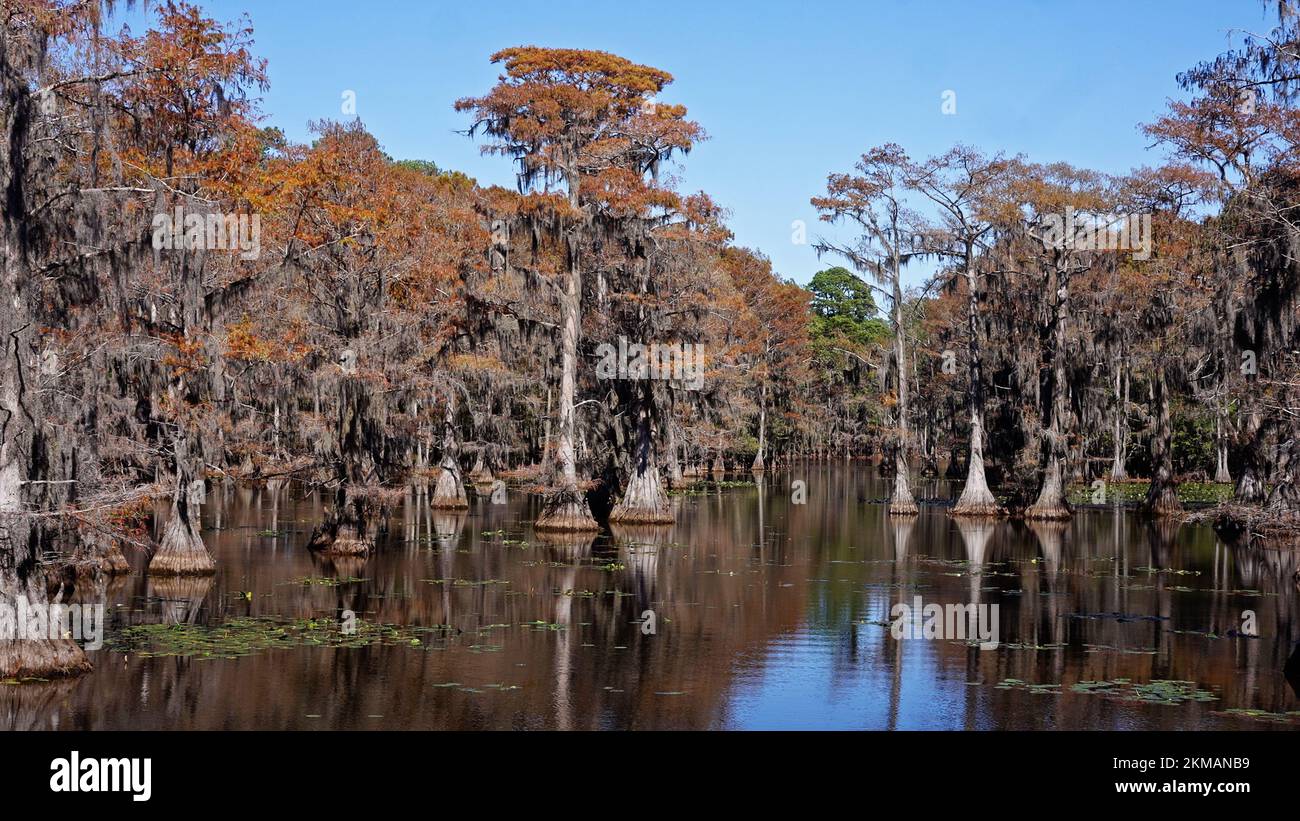 Lake caddo canoe hi-res stock photography and images - Alamy