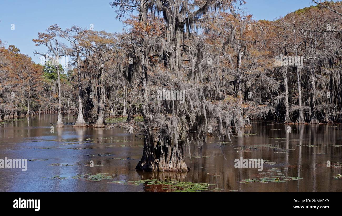 Lake caddo canoe hi-res stock photography and images - Alamy