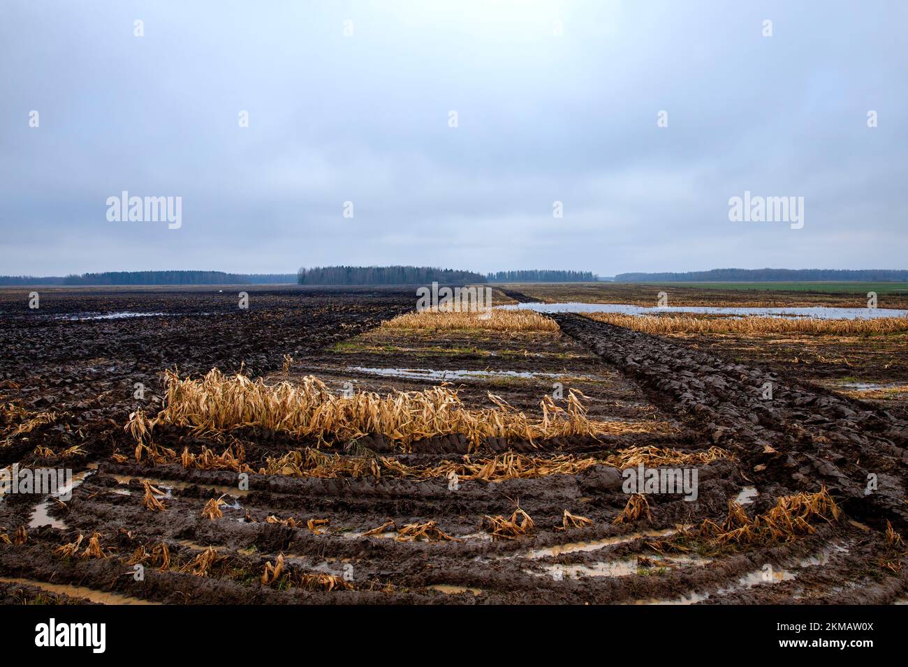 Mud ruts hi-res stock photography and images - Alamy