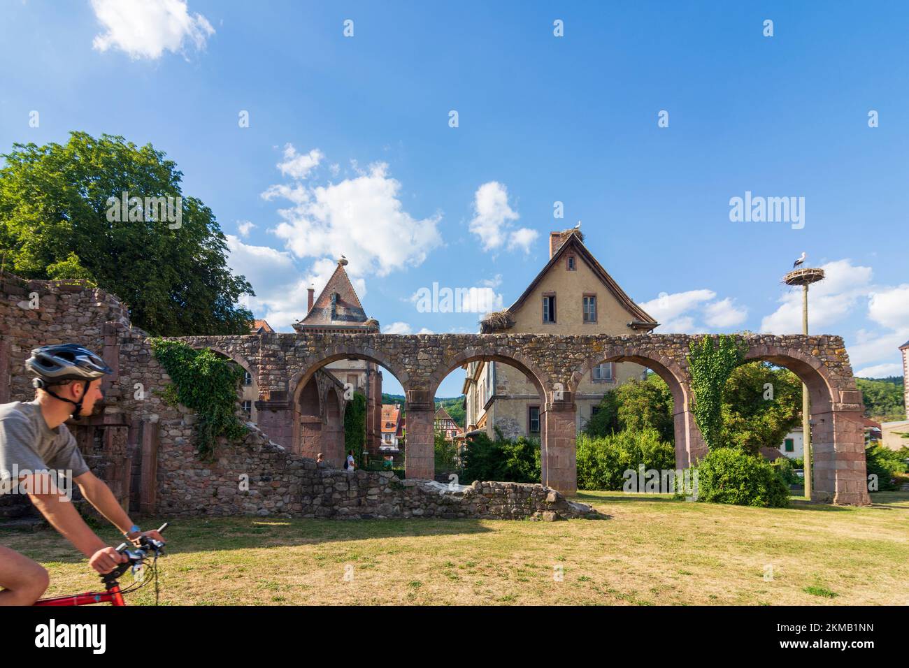 Munster (Münster im Elsass, Minschter) : ruins of Munster Abbey, white ...