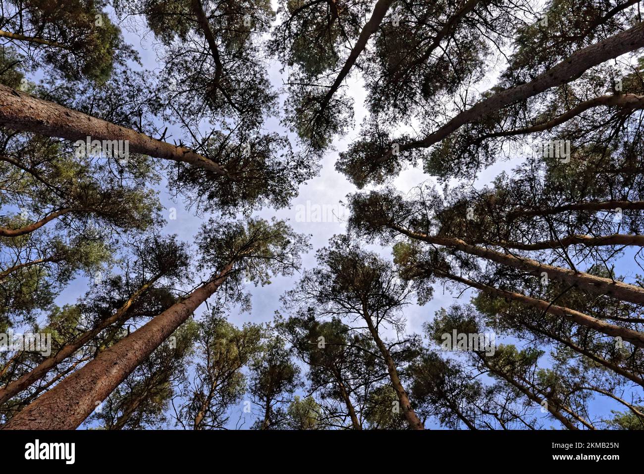 Dont look at lens hi-res stock photography and images - Alamy