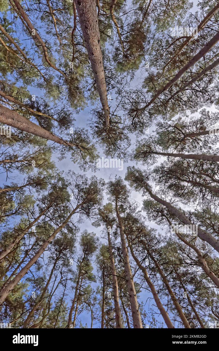 Dont look at lens hi-res stock photography and images - Alamy