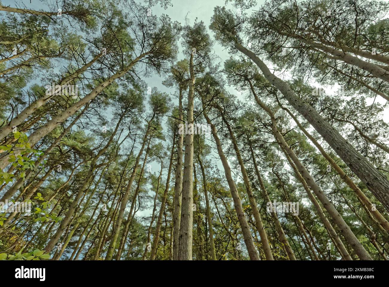 Dont look at lens hi-res stock photography and images - Alamy