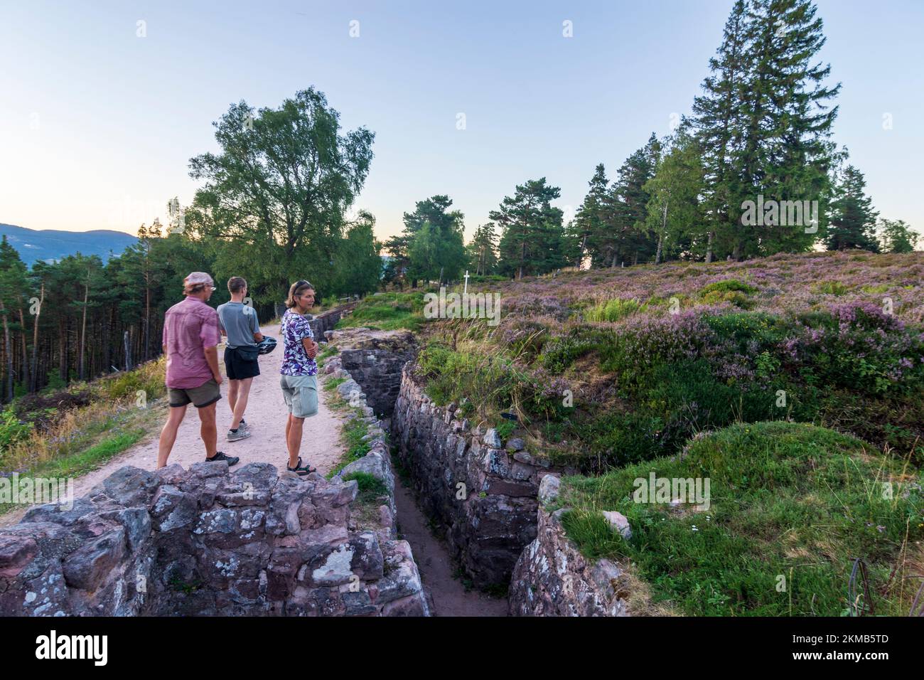 Vosges (Vogesen) Mountains: Collet du Linge (Lingekopf). During World ...