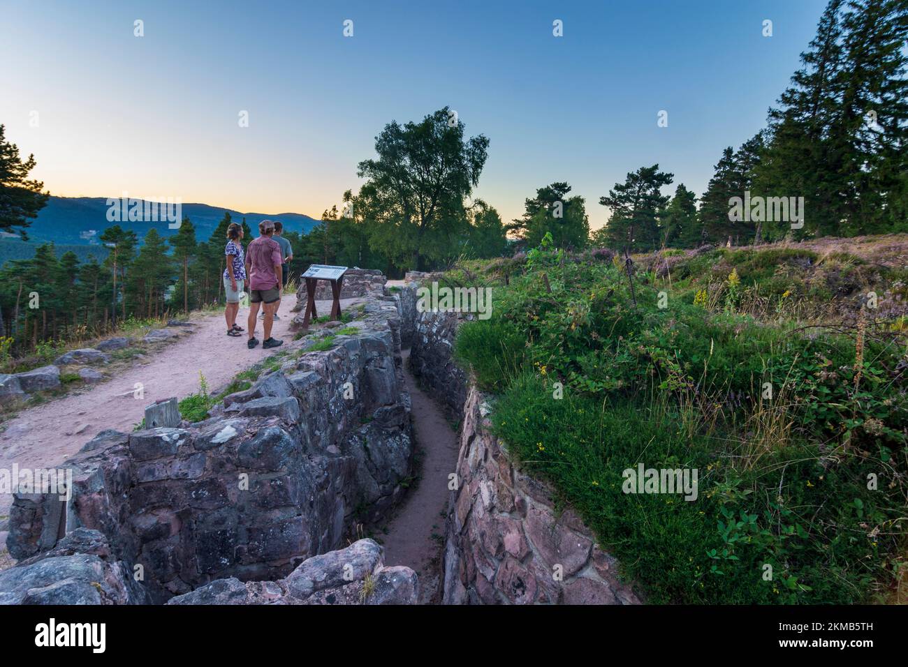 Vosges (Vogesen) Mountains: Collet du Linge (Lingekopf). During World ...