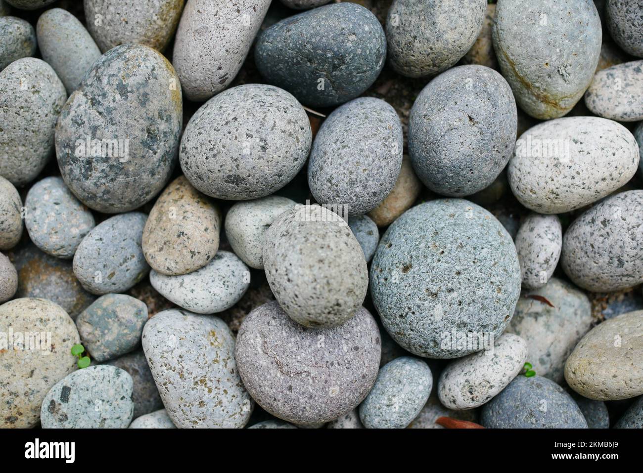 overhead view of Round rock textures Stock Photo - Alamy