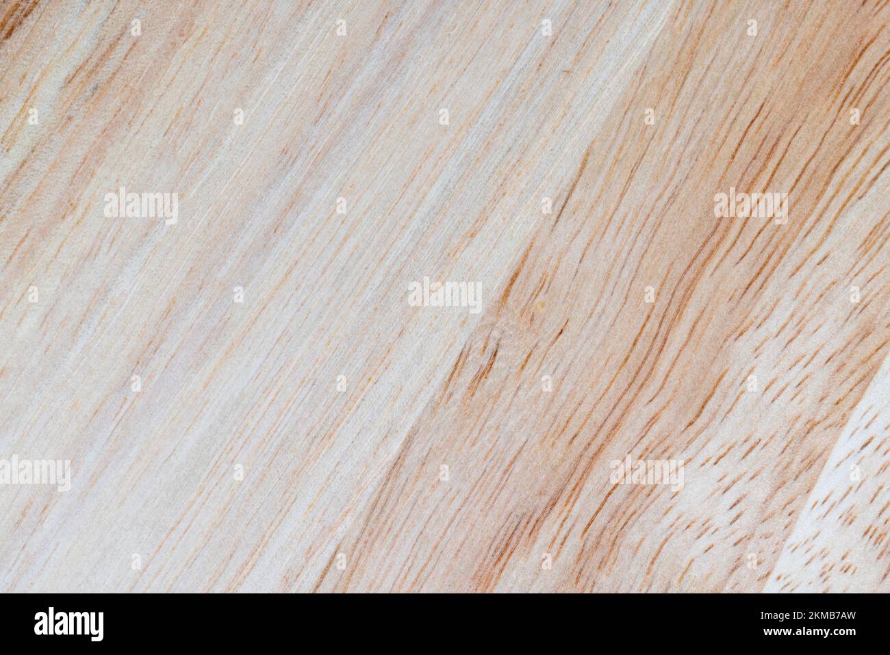 a board made of hevea wood, a light board with a hevea tree structure ...