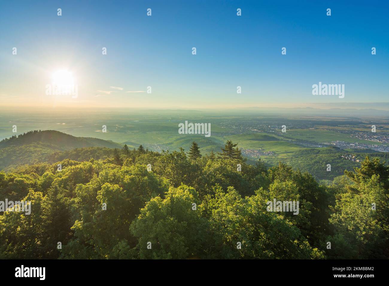 Vosges (Vogesen) Mountains: Vosges (Vogesen) Mountains at sunrise, view ...