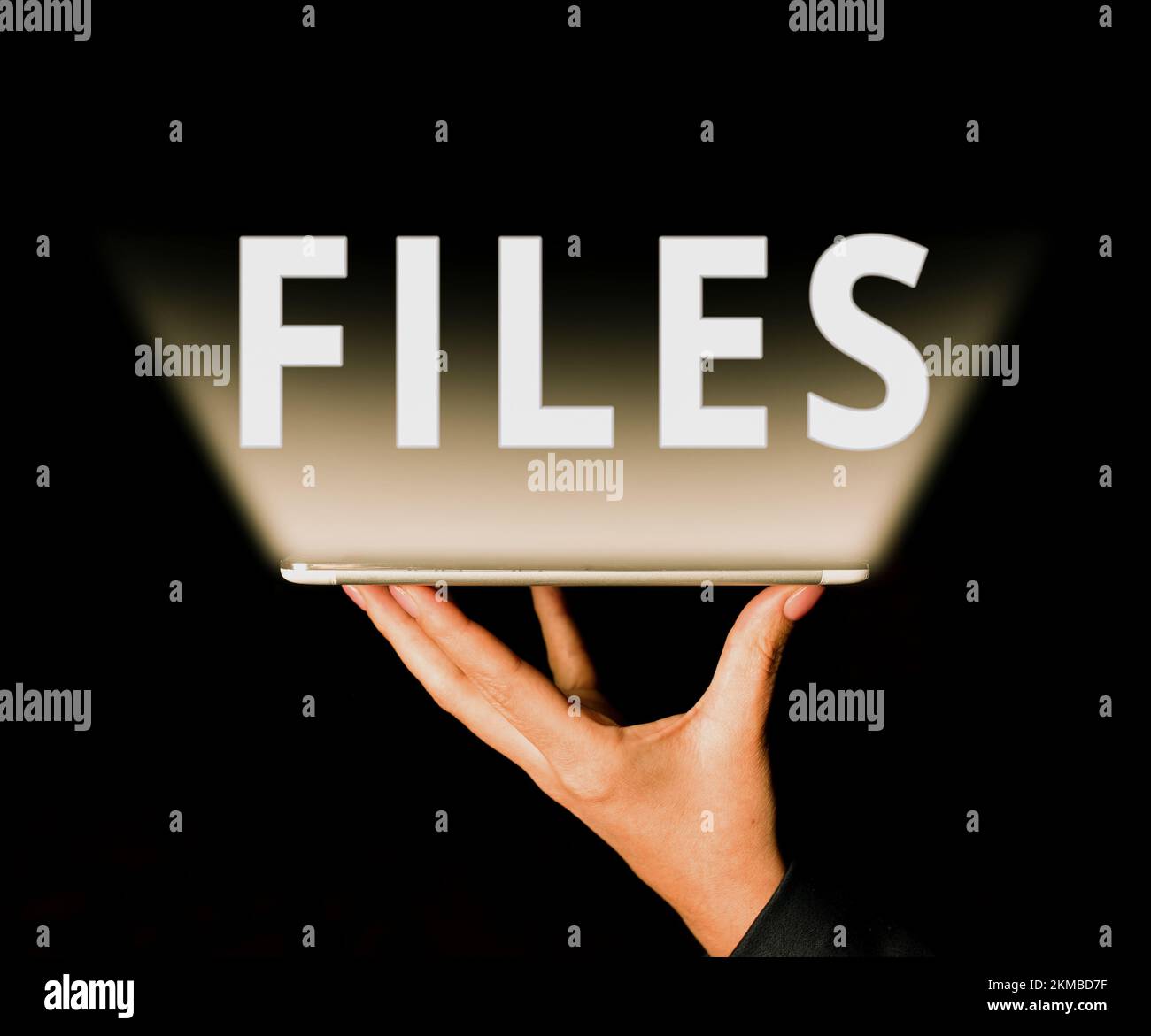 Text sign showing Files. Internet Concept Folder box for holding loose ...