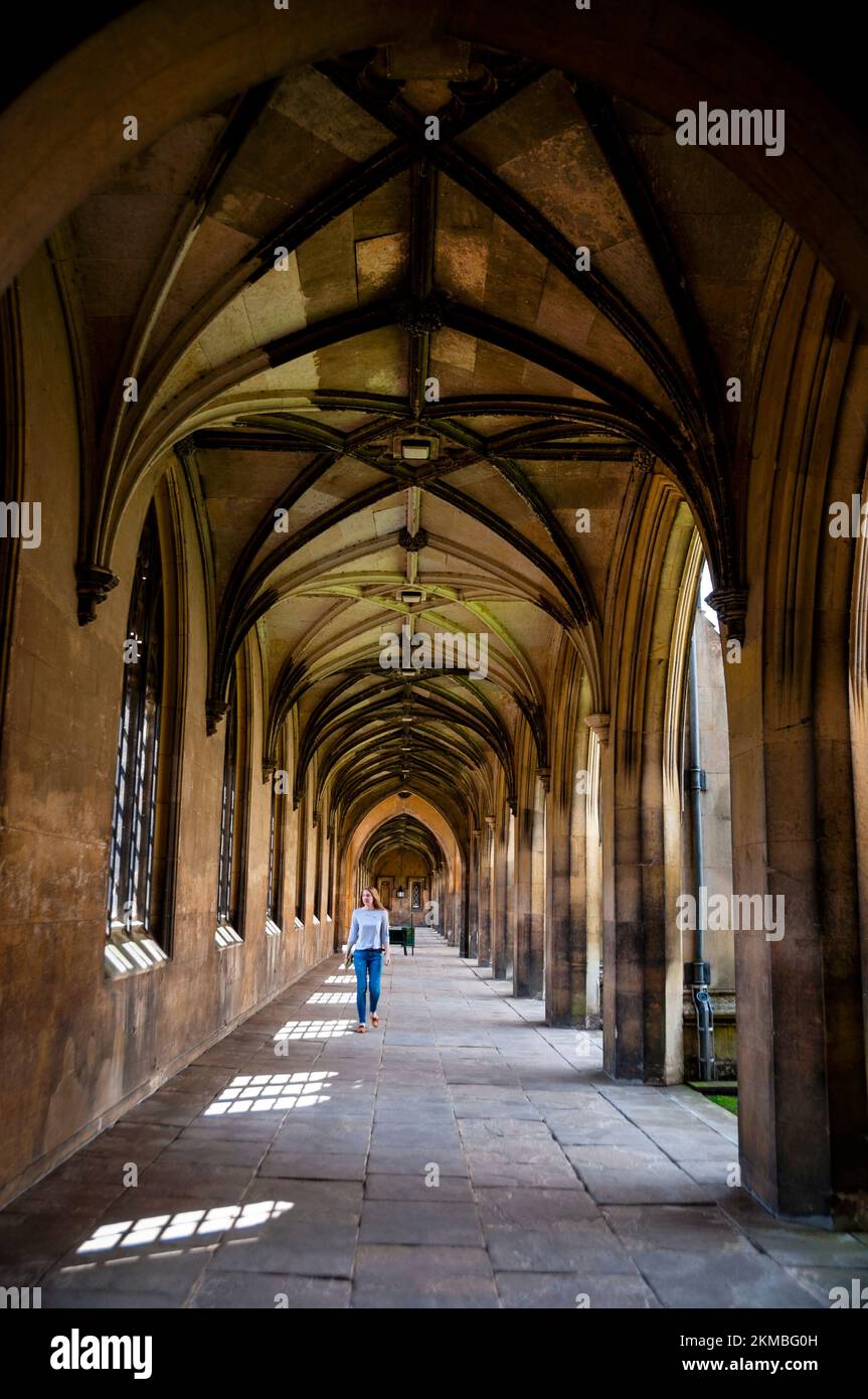 Gothic style New Court Cloisters cross-vaulted ceiling at St. John's ...