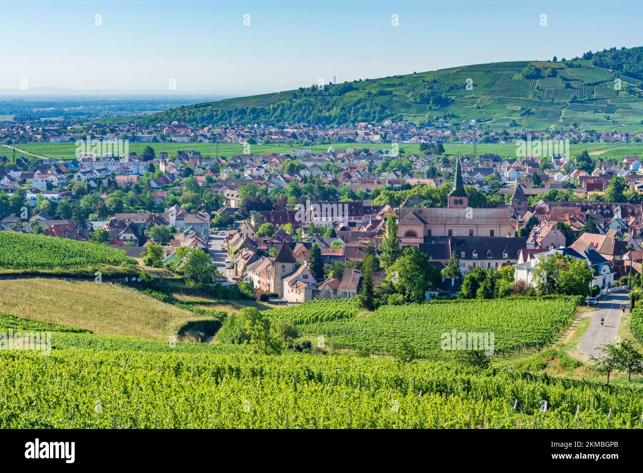 Turckheim (Türkheim): Turckheim (Türkheim), vineyards in Alsace (Elsass ...