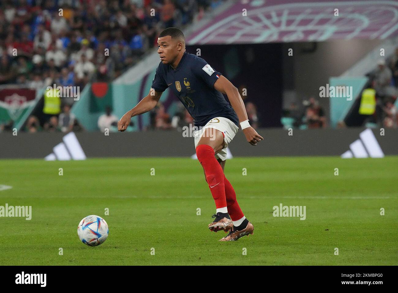 11/26/2022, Stadium 974, Doha, QAT, World Cup FIFA 2022, Group D ...