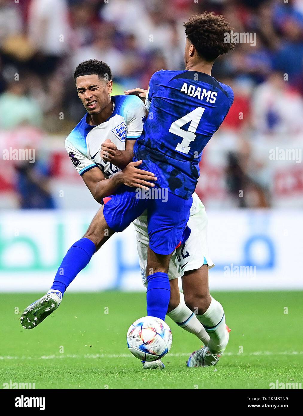 v.l. Jude Bellingham, Tyler Adams (USA)Al Khor, 25.11.2022, FIFA ...