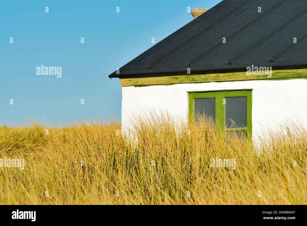 A house with green wooden windows in a field with golden grass Stock ...