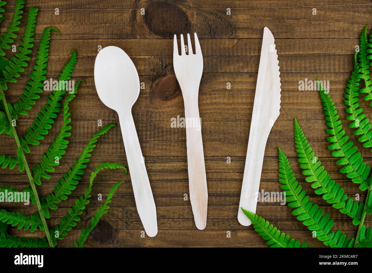 eco friendly disposable kitchen utensils on a wooden background, near a ...