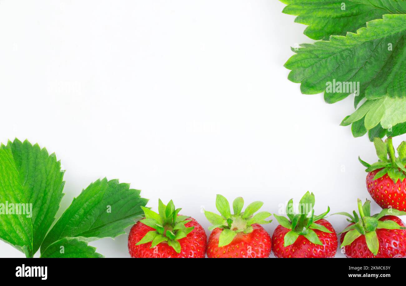 Strawberries with leaves on a white background. Frame of strawberries. Copy space Stock Photo ...