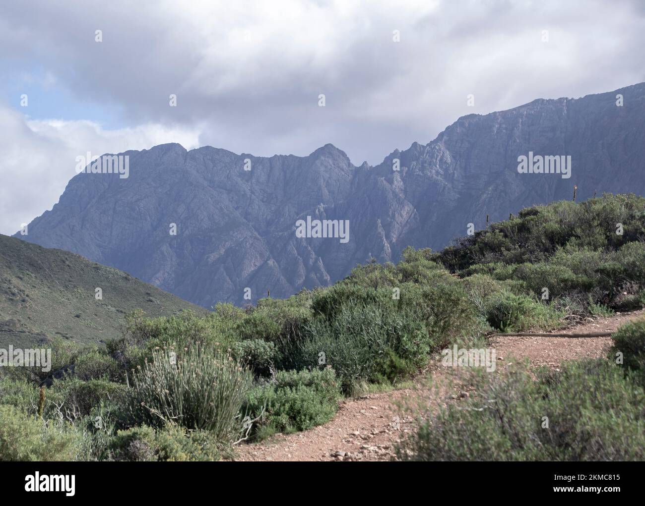 Mountain landscape at the Karoo Dessert National Botanical gardens in ...