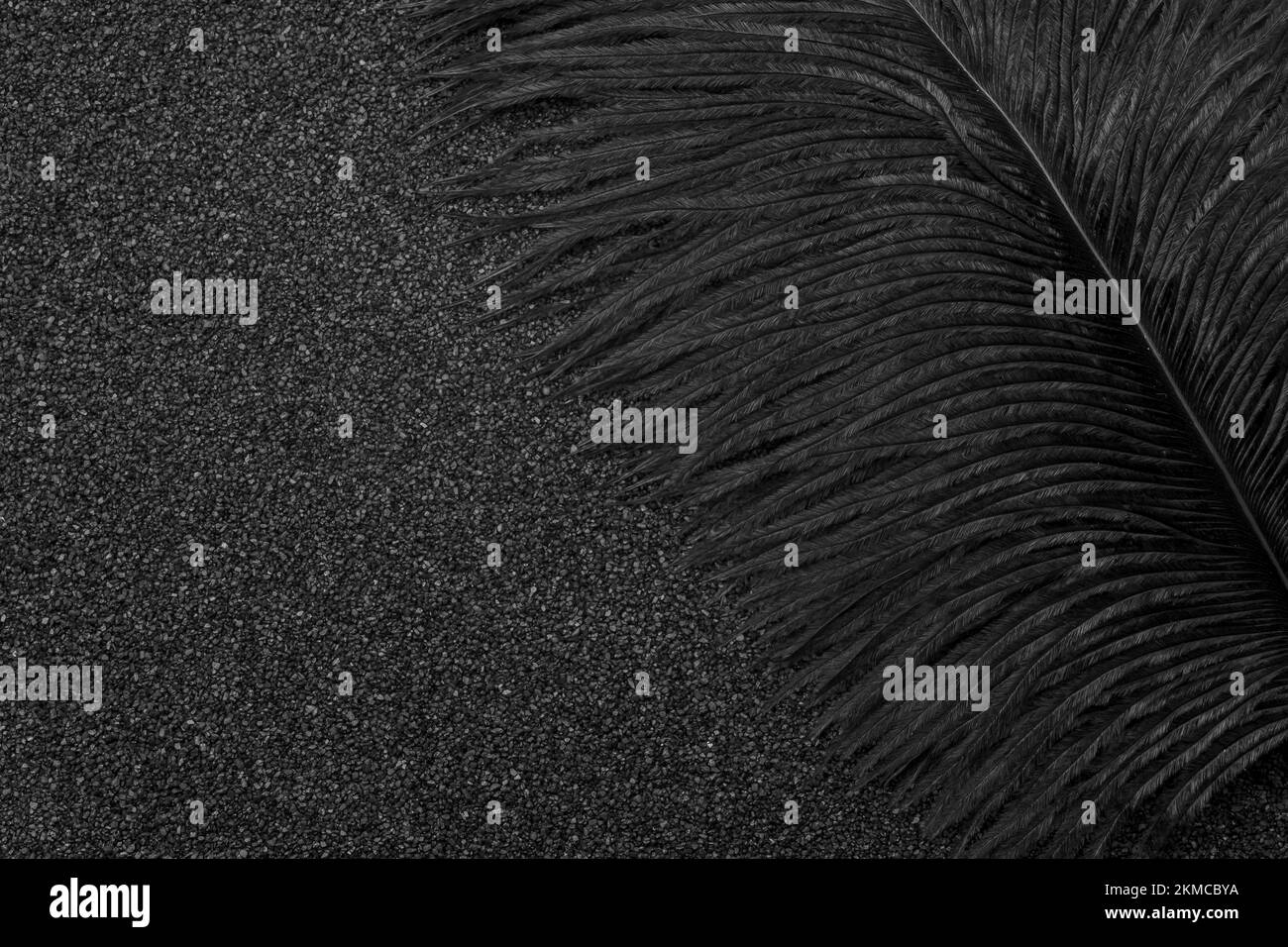 Photo close Black and White Stock Photos & Images - Alamy