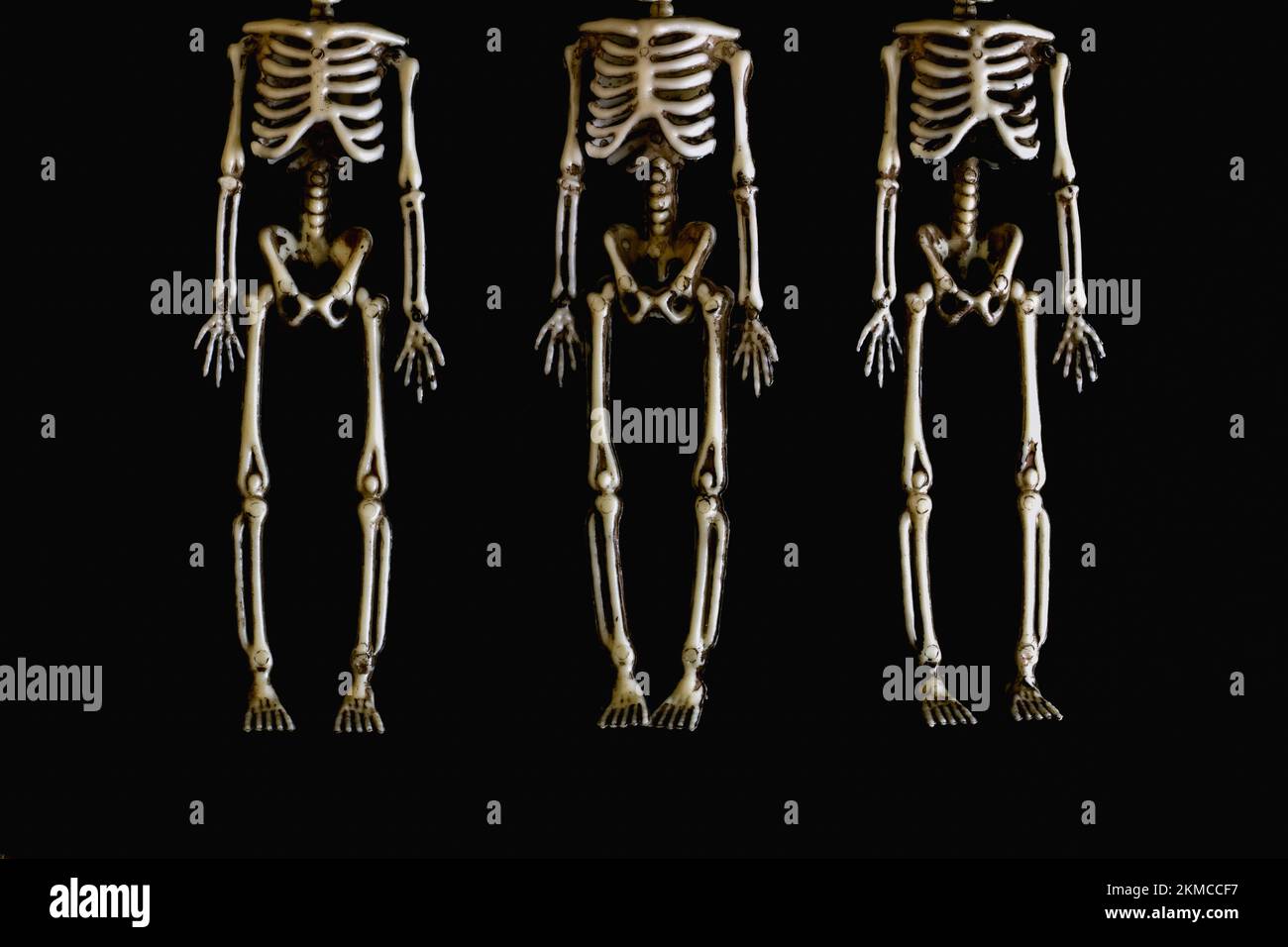 Headless skeletons hang on a black background. Halloween concept ...