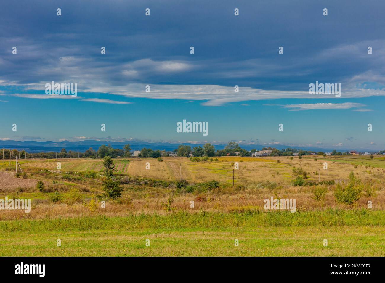 A wide rice field in Rural Ukraine Stock Photo - Alamy