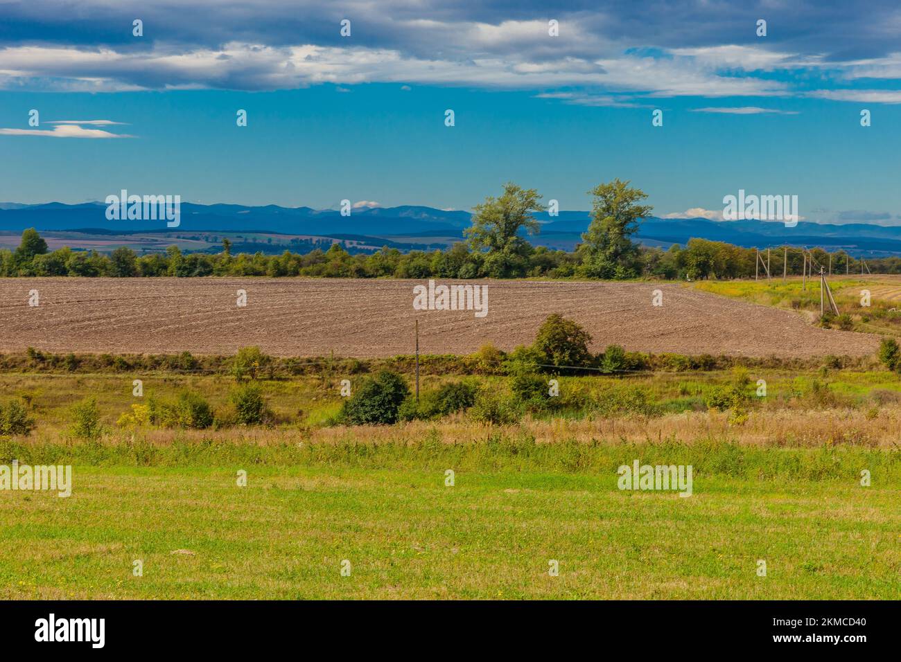 A wide rice field in Rural Ukraine Stock Photo - Alamy