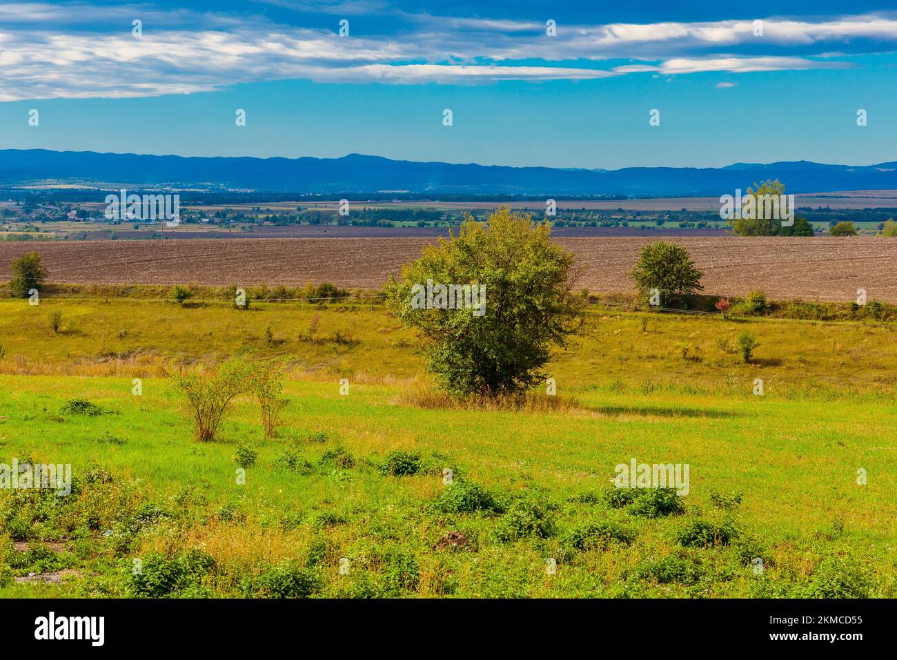 A wide rice field in Rural Ukraine Stock Photo - Alamy