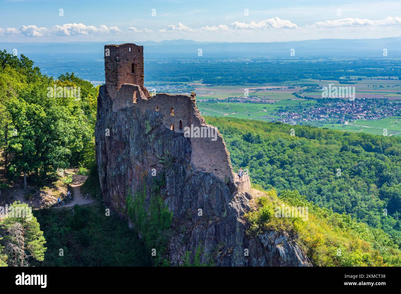 Girsberg castle in alsace elsass hi-res stock photography and images ...