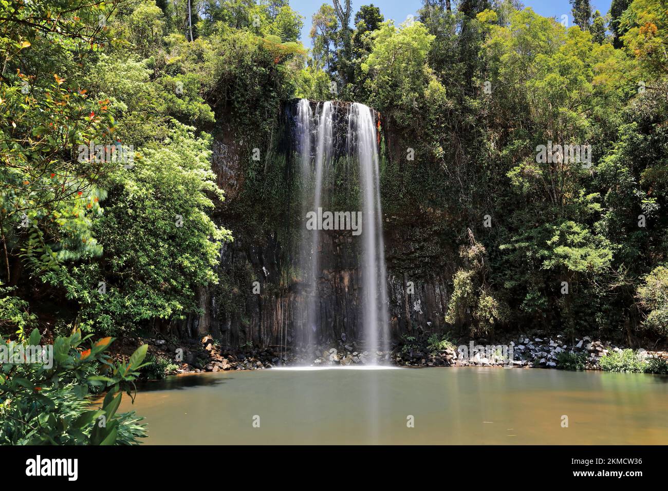 291 Millaa Milla Falls formed by Theresa Creek plunging into a pool ...