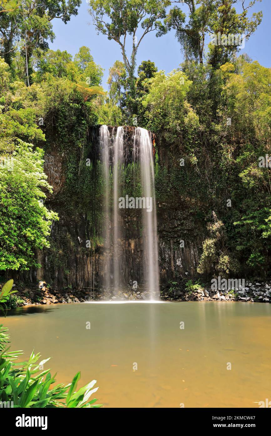 292 Millaa Milla Falls formed by Theresa Creek plunging into a pool ...