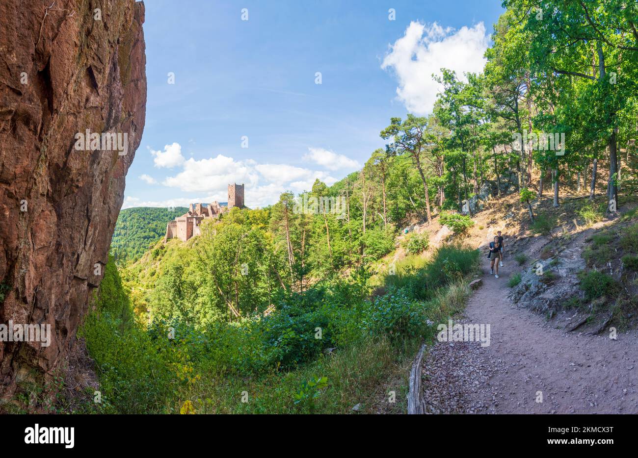 Ribeauville (Rappoltsweiler, Rappschwihr): Saint-Ulrich Castle in ...