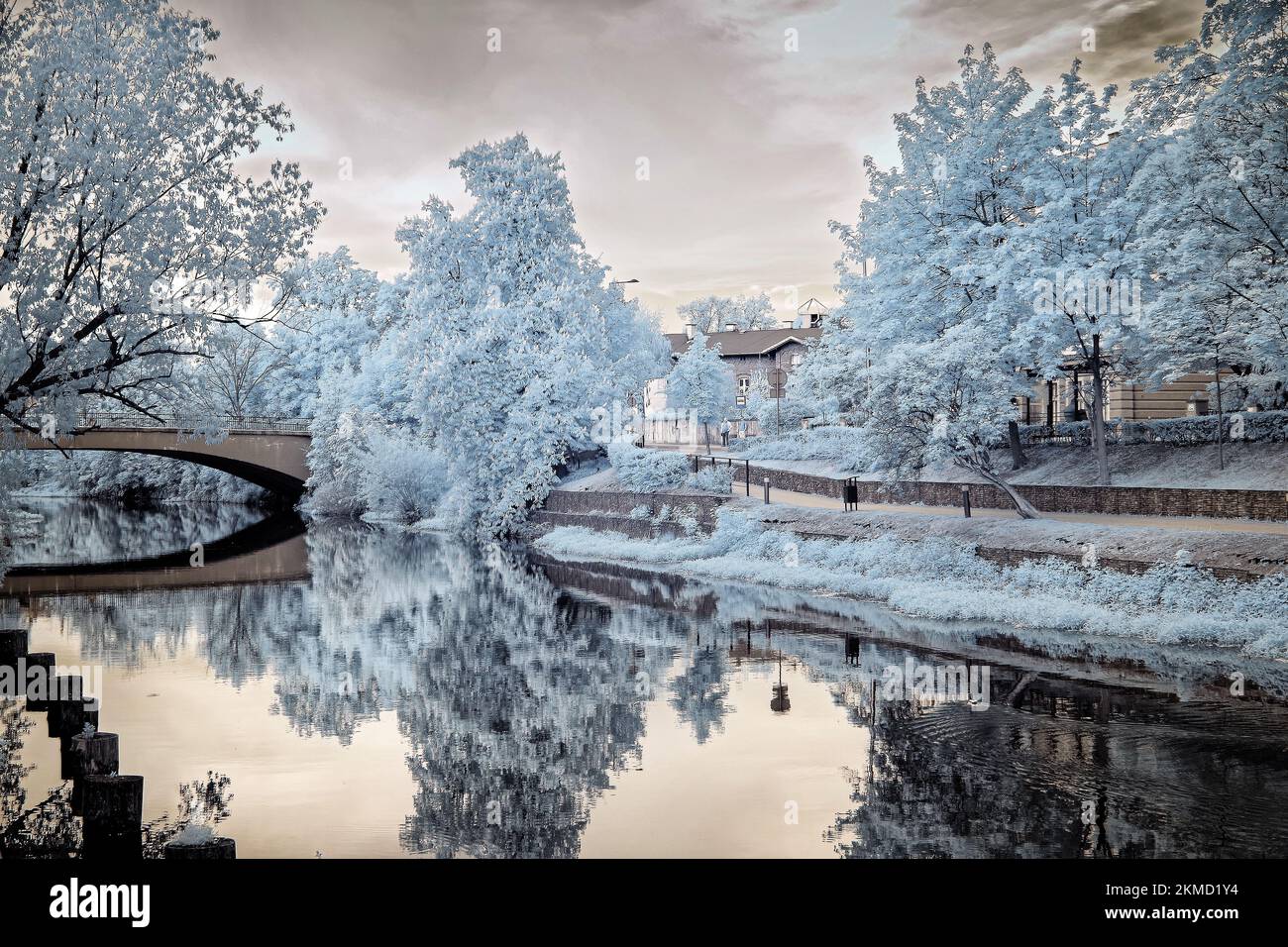 An aerial view of lake surrounded by frozen dense trees Stock Photo - Alamy