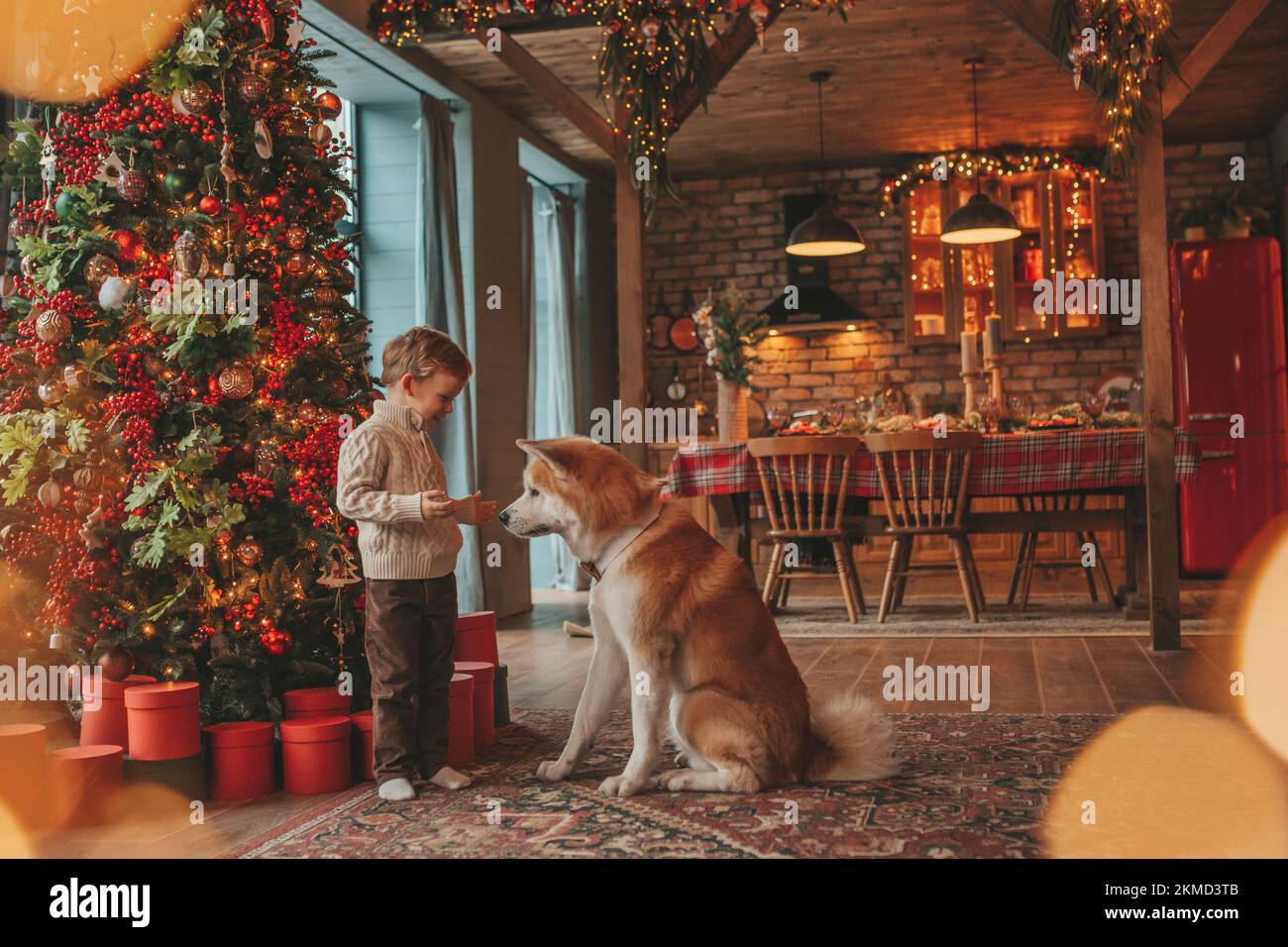Smiling small child having fun with dog waiting for miracle Santa at ...