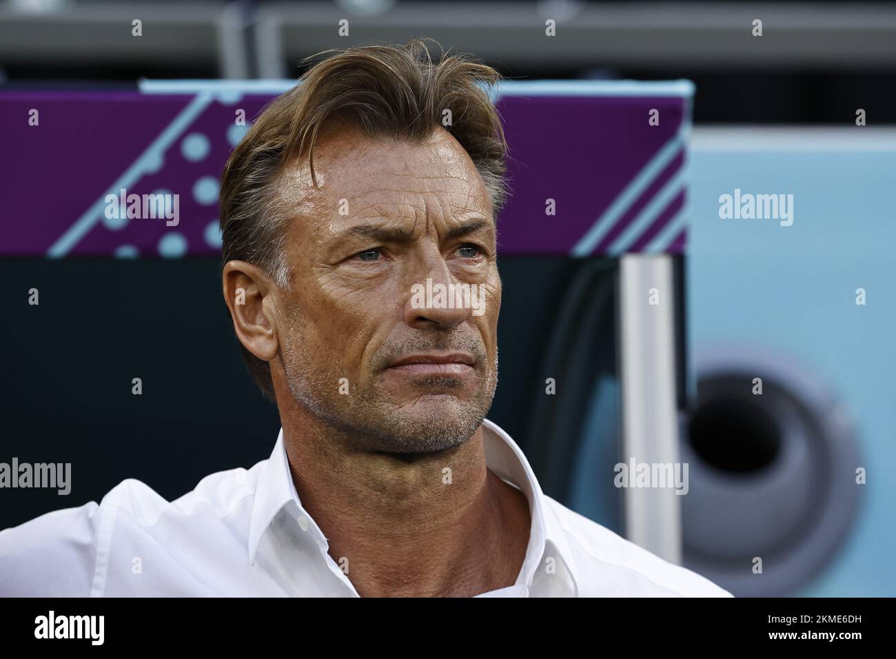 DOHA - Saudi Arabia coach Herve Renard during the FIFA World Cup Qatar ...