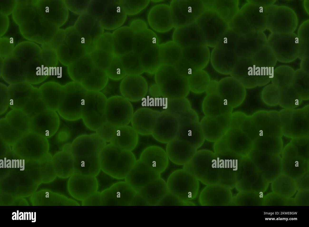 modern design green a lot biological bacteria computer graphics ...