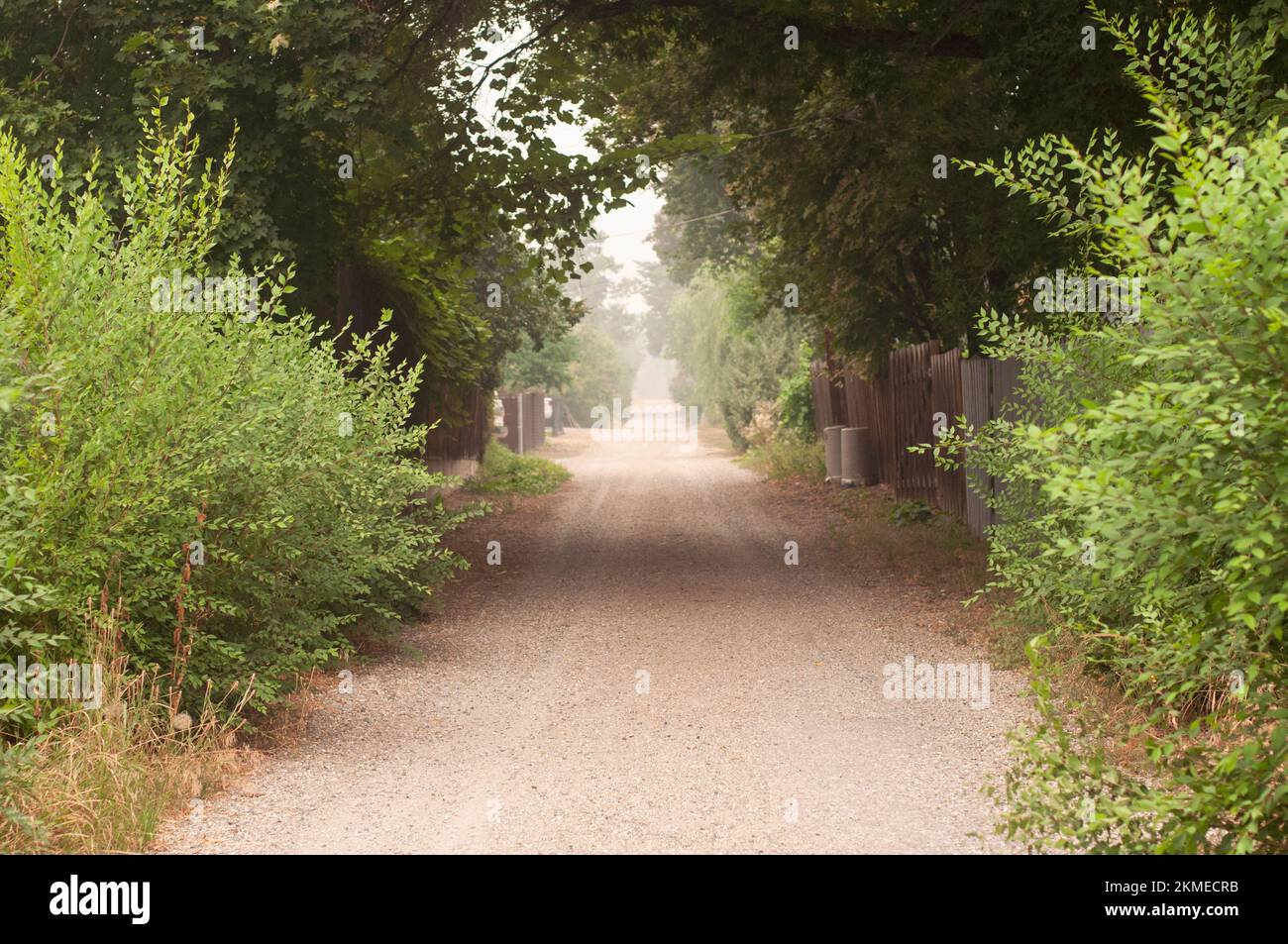 An alleyway in rural British Columbia, Canada Stock Photo - Alamy