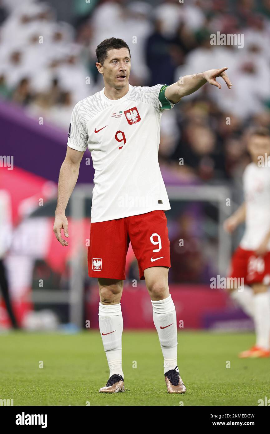 DOHA - Robert Lewandowski of Poland during the FIFA World Cup Qatar ...