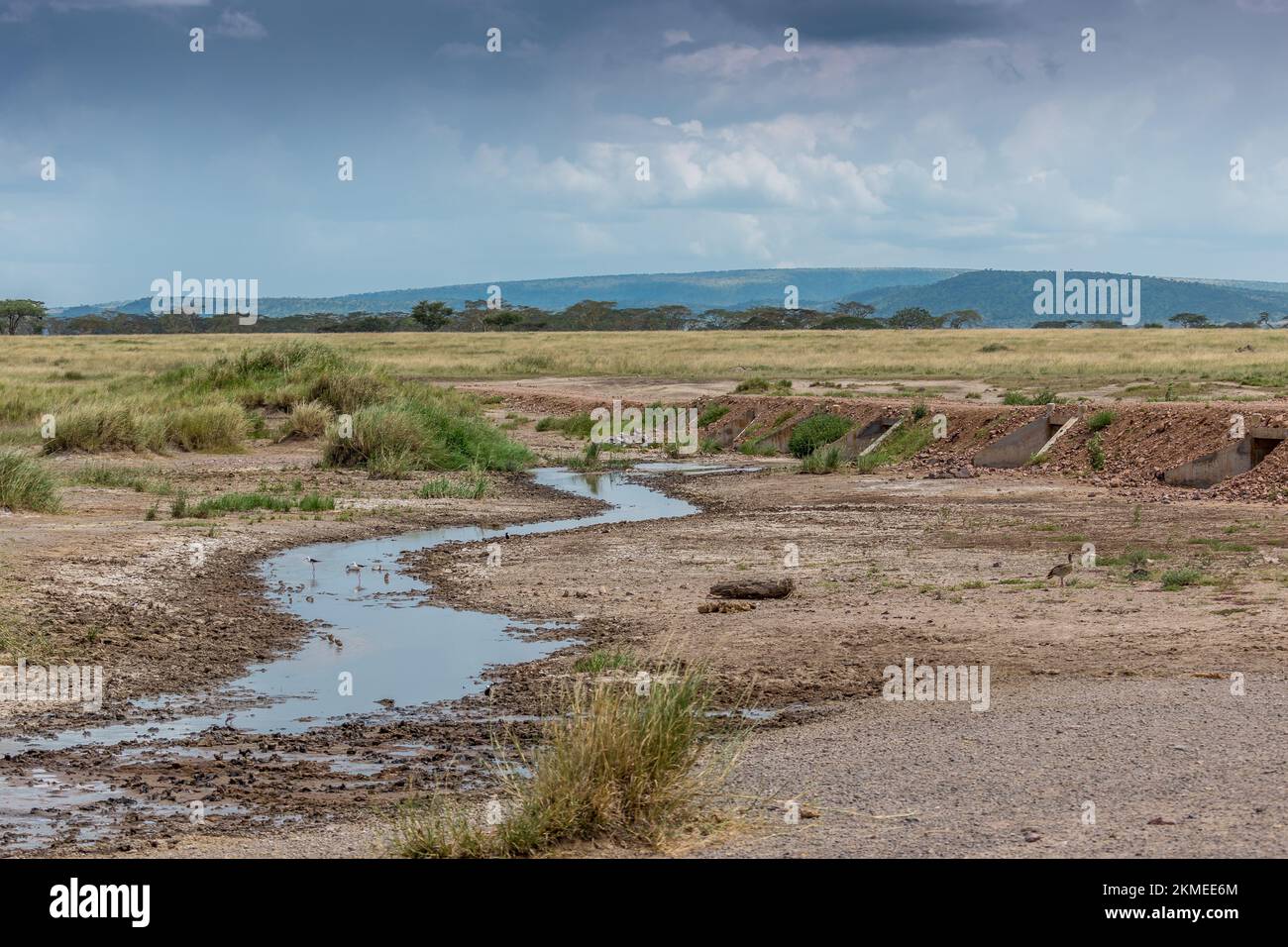 An overflow stream surrounded by grass Stock Photo - Alamy