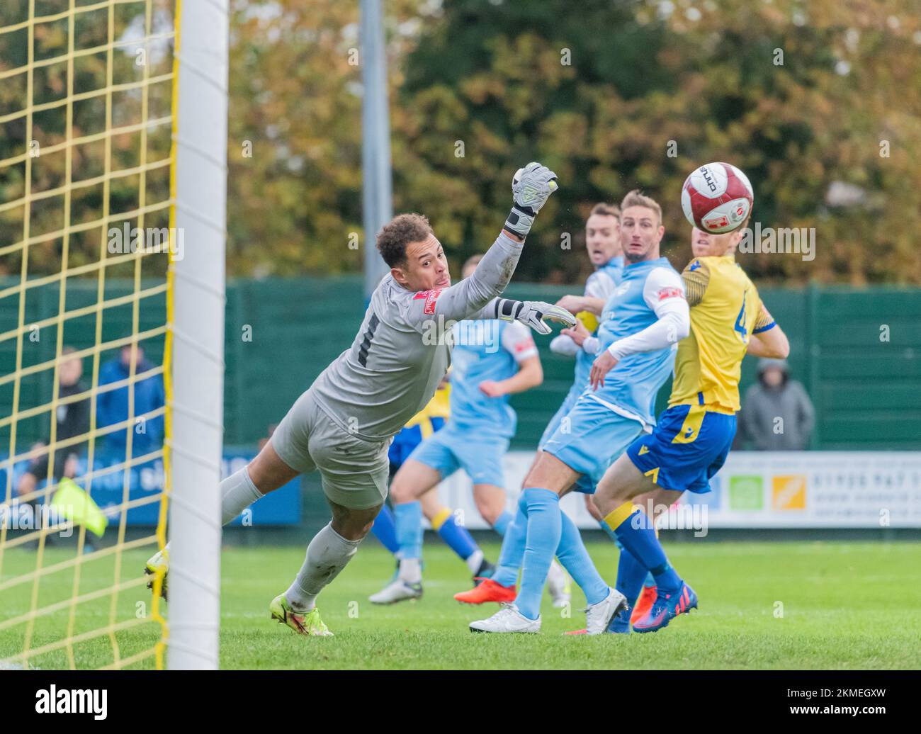 Cody shields hi-res stock photography and images - Alamy