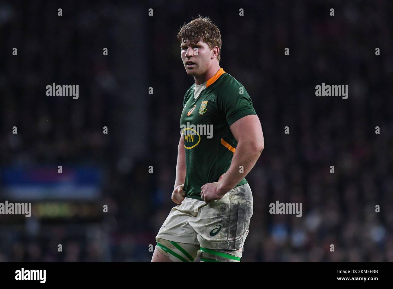 Evan roos hi-res stock photography and images - Alamy