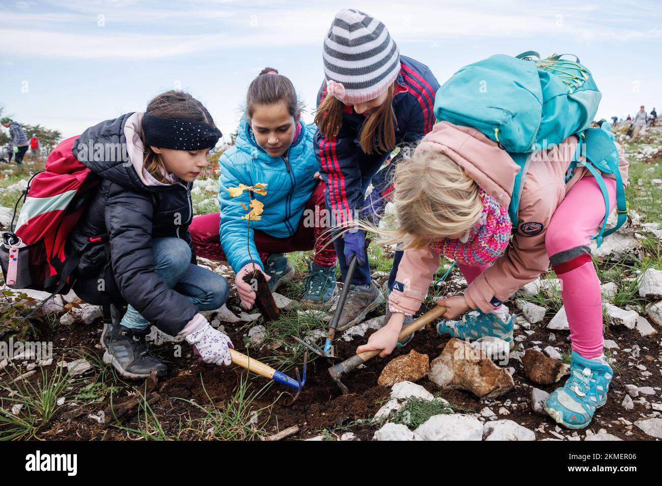 Children plant a new tree during the first of many mass reforestation ...