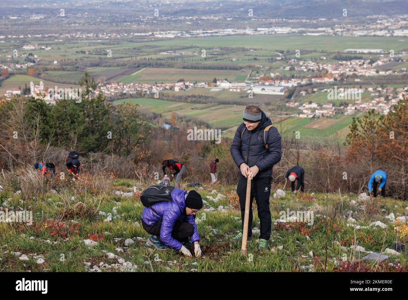 People plant new trees during the first of many mass reforestation ...