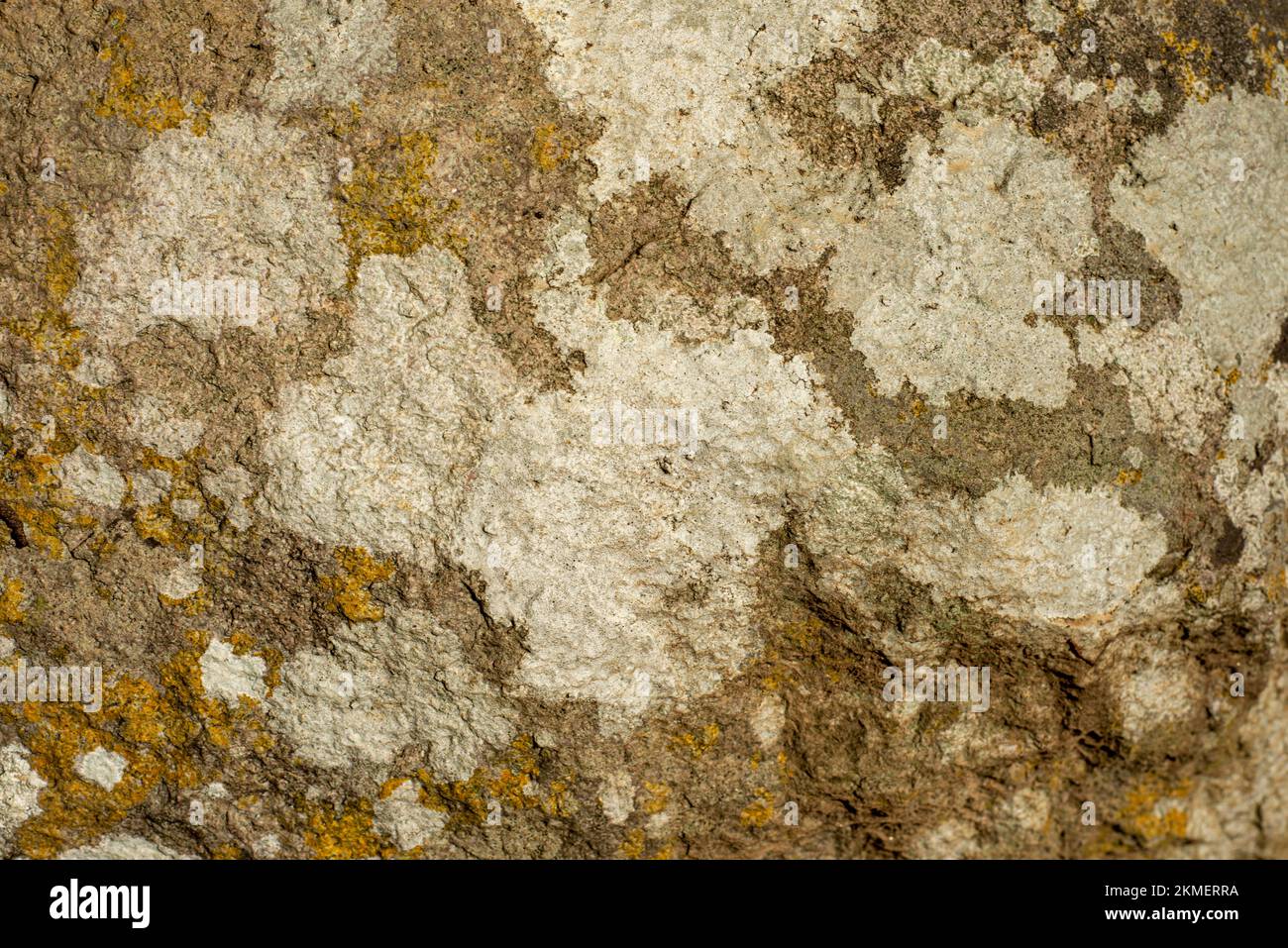 Granite Stone with Lichen Stock Photo - Alamy