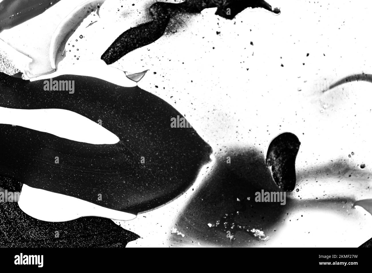Abstract colorful backdrop with oil drops and waves on water surface ...