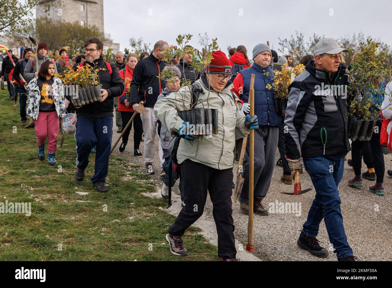 Cerje, Slovenia. 26th Nov, 2022. People carry tree saplings as they ...