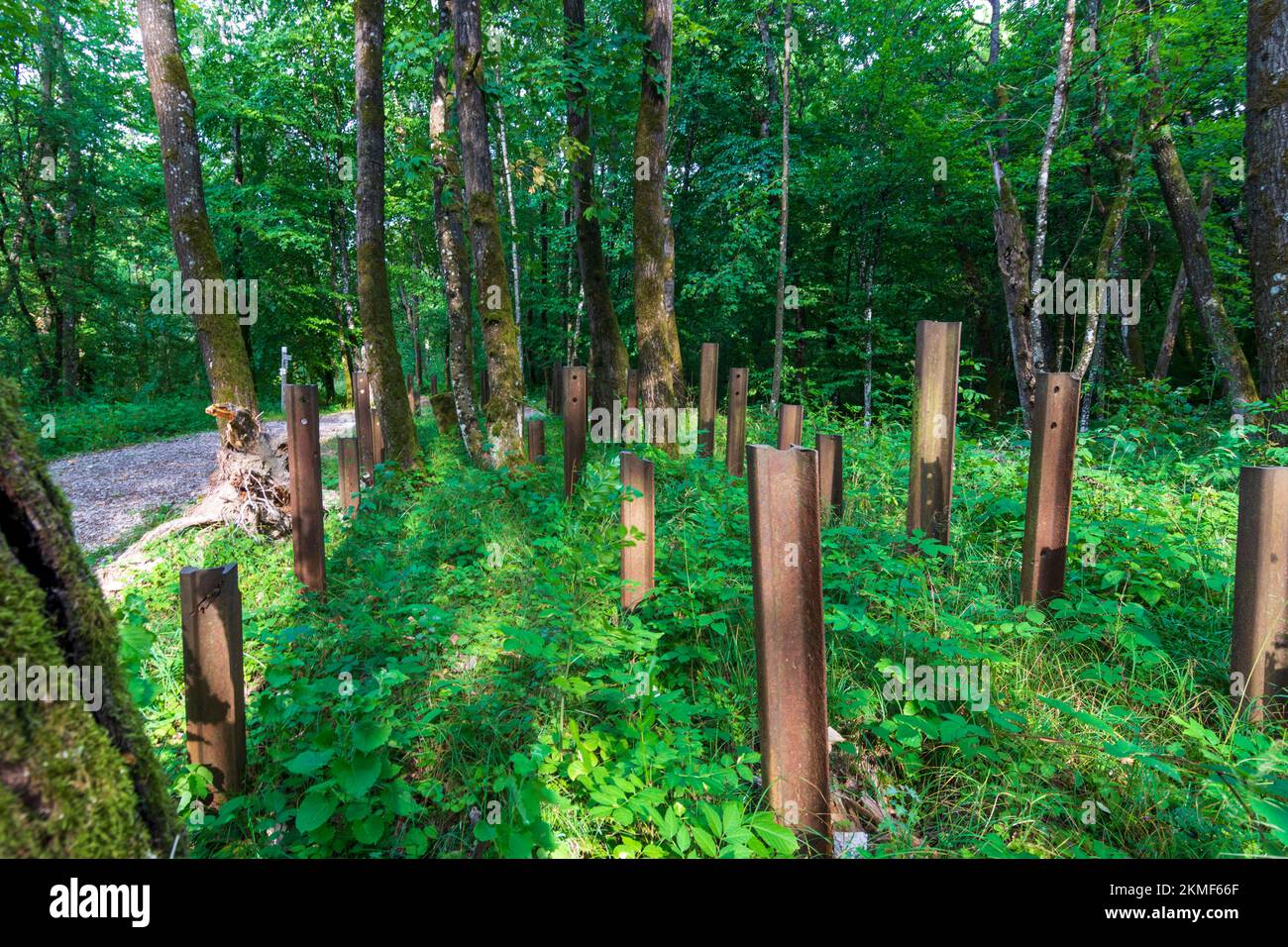 Siersthal (Sierstal, Siirschel): Ouvrage Simserhof is a gros ouvrage of ...