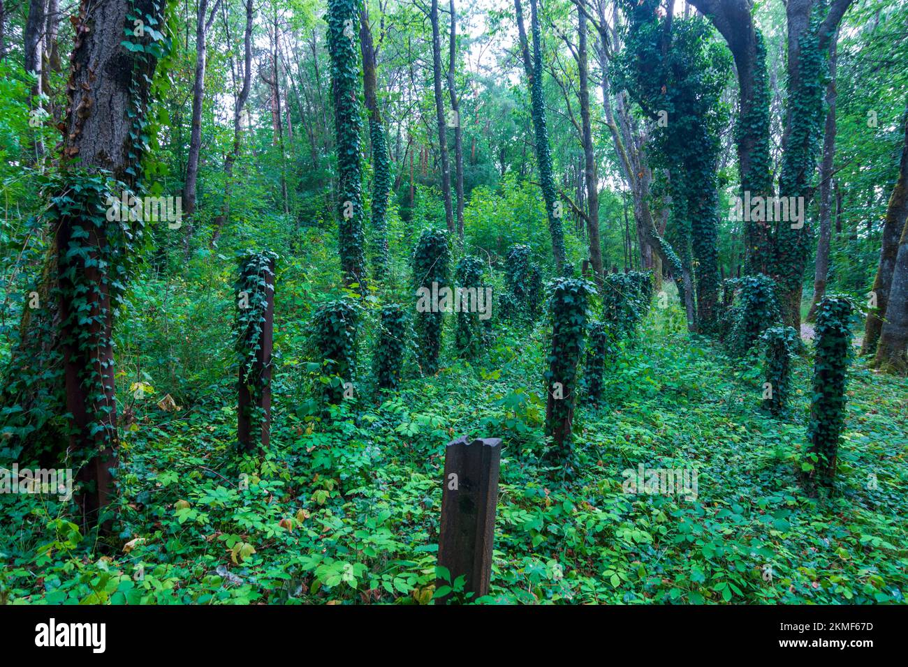 Siersthal (Sierstal, Siirschel): Ouvrage Simserhof is a gros ouvrage of ...