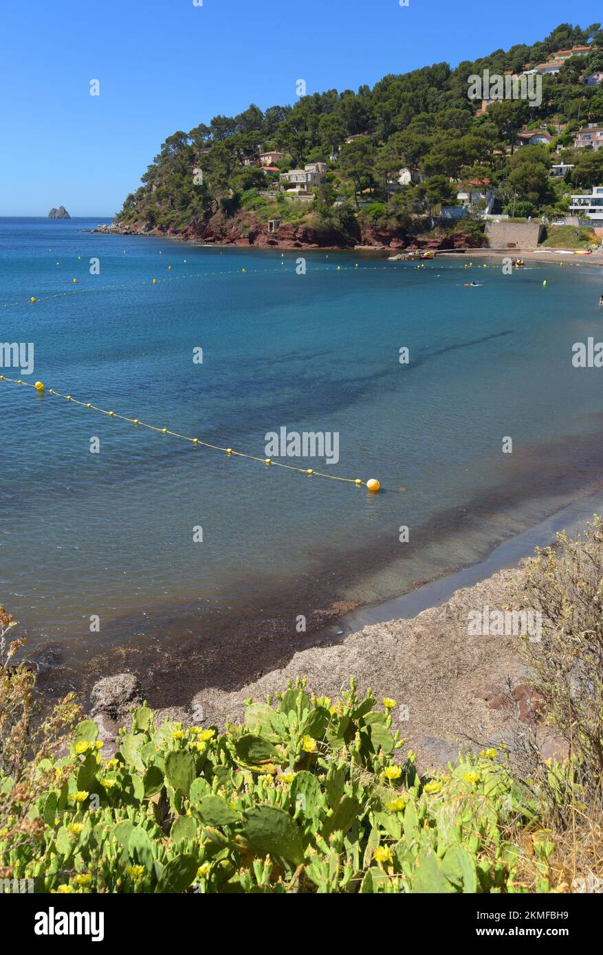 Fabregas beach in La Seyne-sur-Mer Stock Photo - Alamy