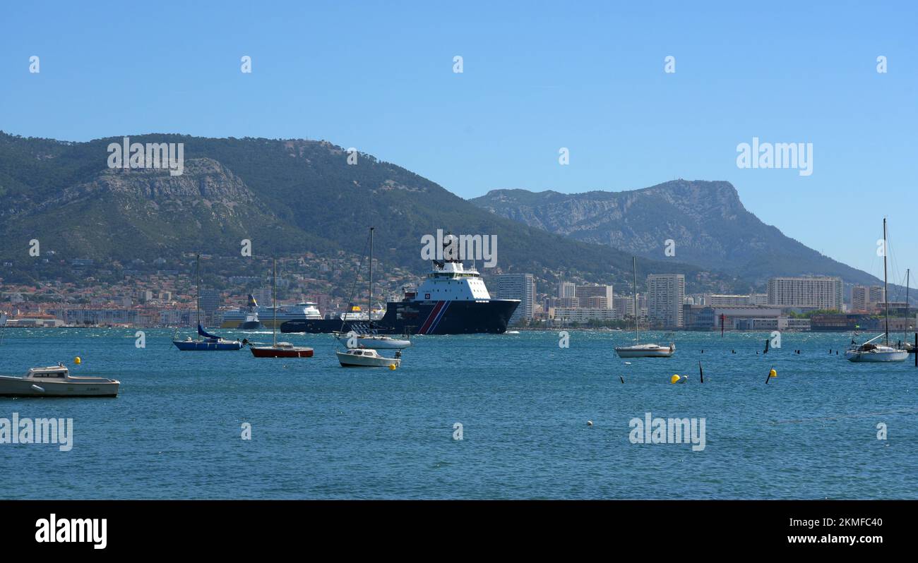 Abeille mediterranee hi-res stock photography and images - Alamy Abeille mediterranee hi-res stock photography and images - Alamy